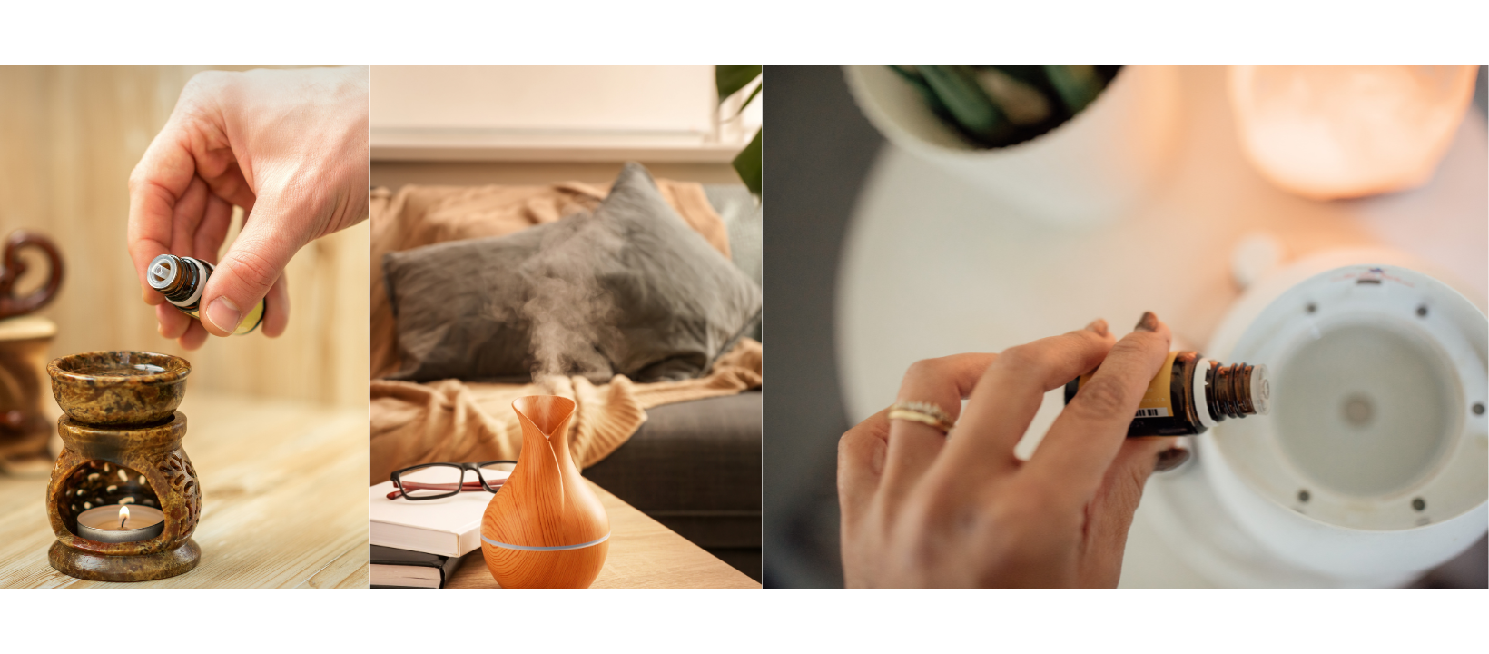 Smudge Supplies and White sage| Wholesale in Canada